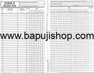 Muster roll in construction - Register New Format and Meaning